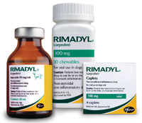 VetNetwork Pet Care Articles